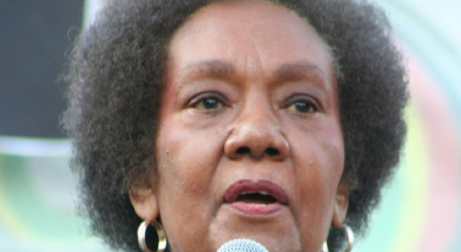 Little Known Black History Fact: Dr. Frances Cress Welsing
